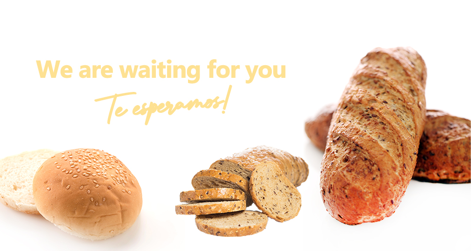 Trigo’s Bakery – Trigo’s Bakery